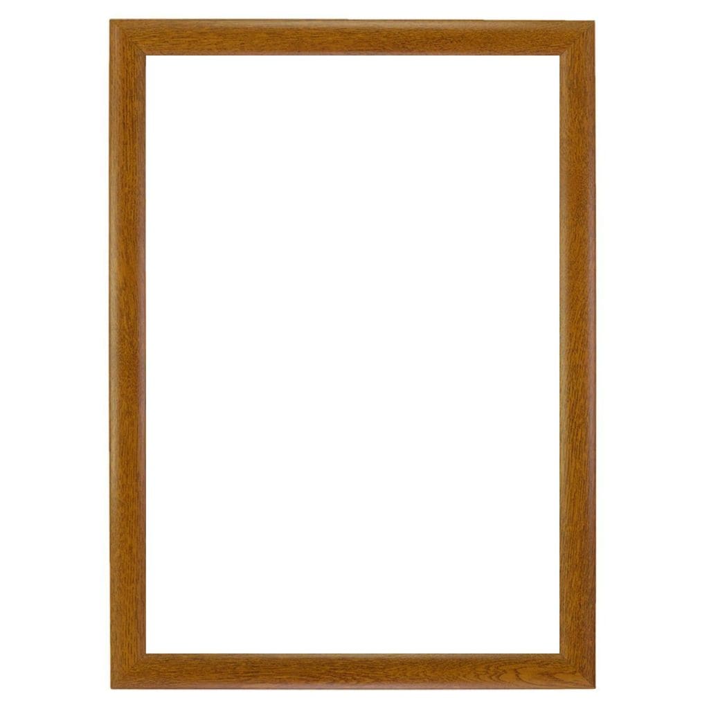 Standard Snap Frames NZ | Mills Display